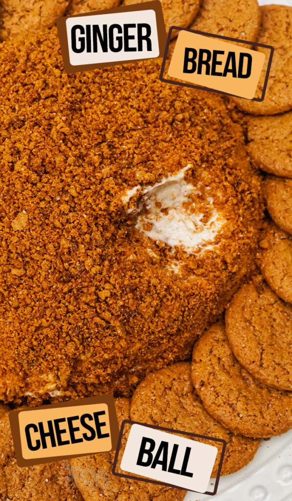 Gingerbread Cheese Ball Recipe - 3 Boys and a Dog