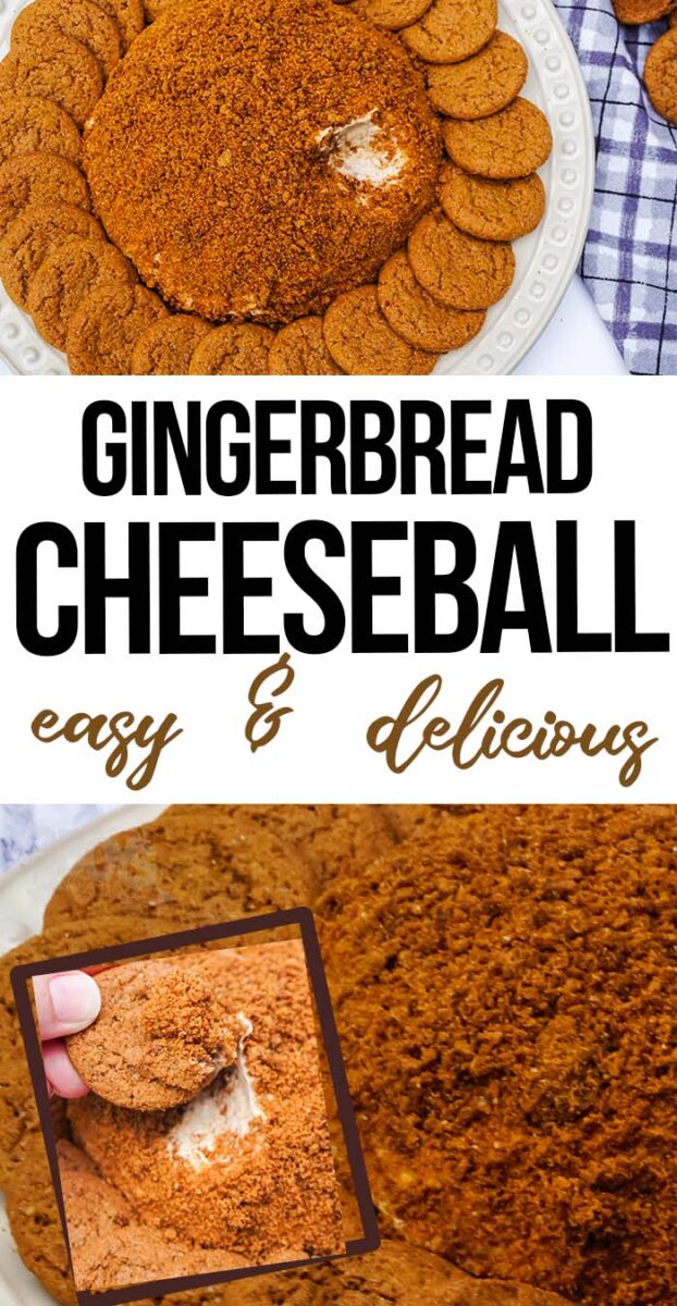 Gingerbread Cheese Ball Recipe - 3 Boys and a Dog