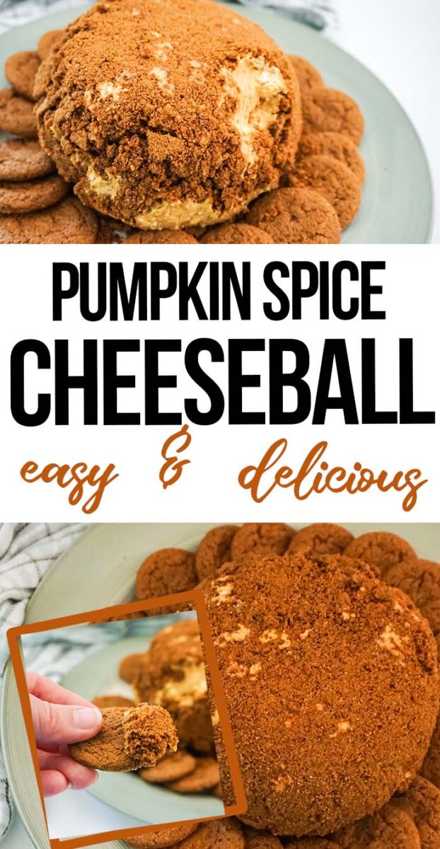 Pumpkin Spice Cheese Ball - 3 Boys and a Dog