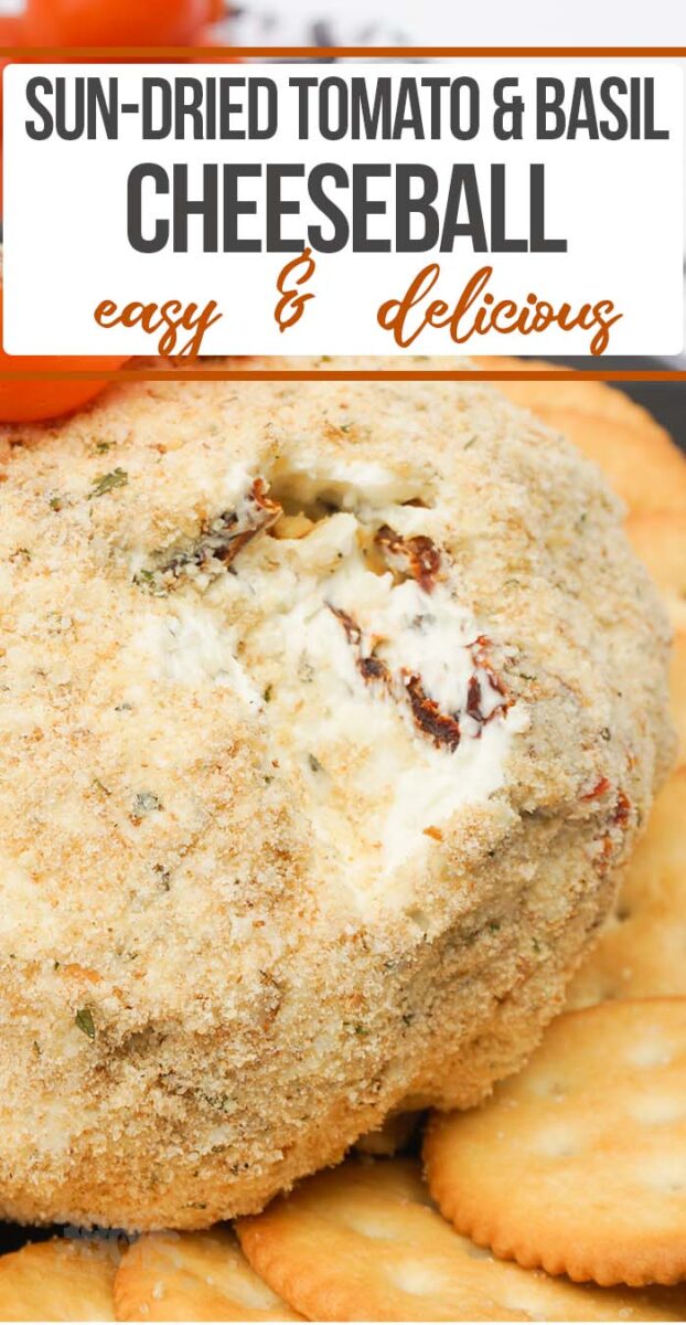 Sun-Dried Tomato and Basil Cheese Ball - 3 Boys and a Dog