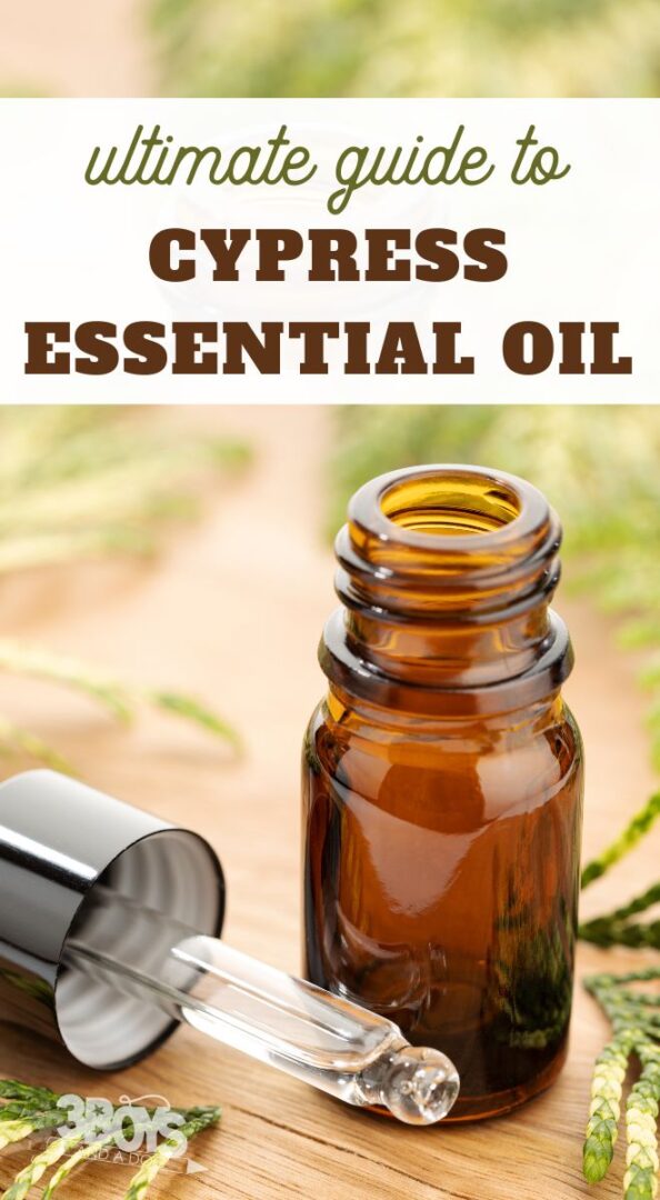 Benefits of Cypress Essential Oil - 3 Boys and a Dog