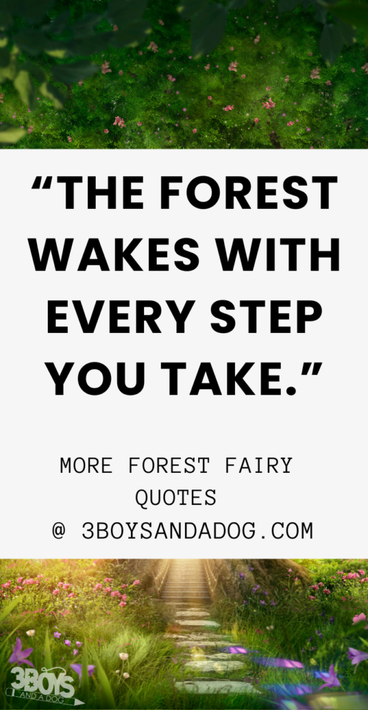 Forest Fairy Quotes - 3 Boys and a Dog
