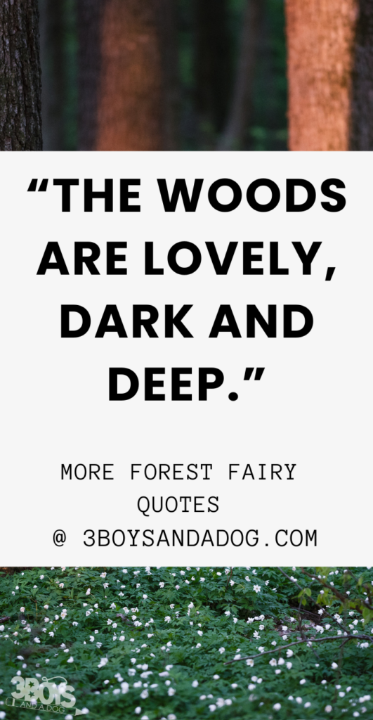 Forest Fairy Quotes - 3 Boys and a Dog