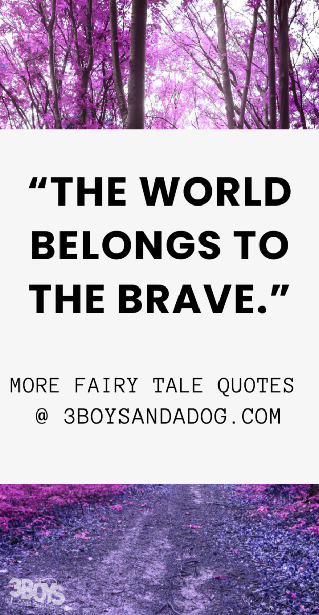 Fairytale Quotes for Kids - 3 Boys and a Dog