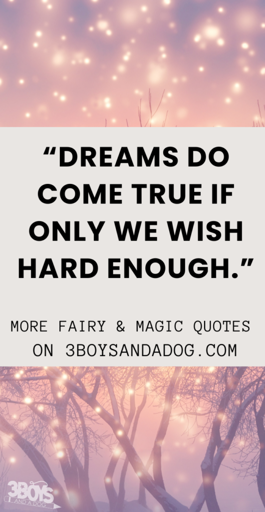 Quotes About Fairies and Magic - 3 Boys and a Dog
