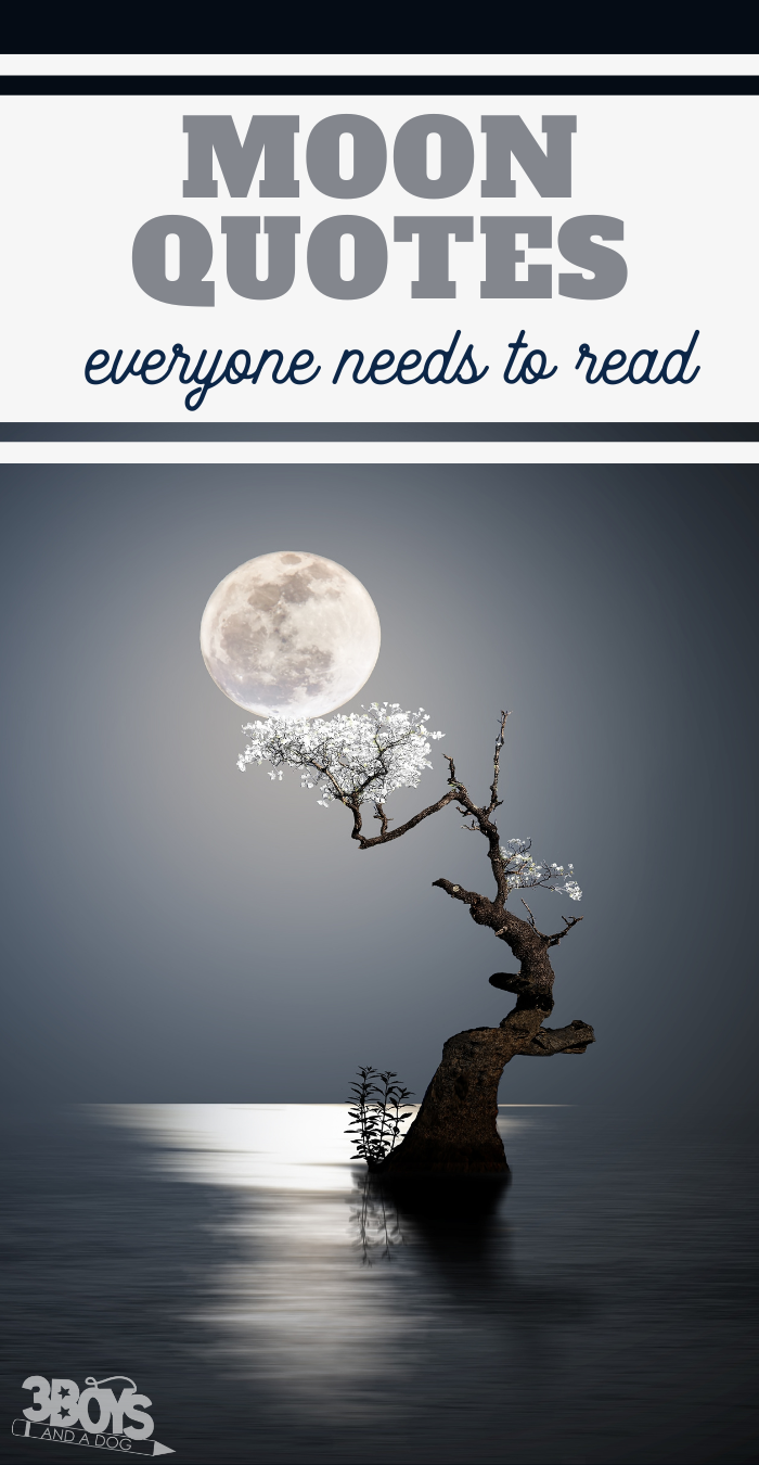 Inspiring Full Moon Quotes About Magic & Reflection