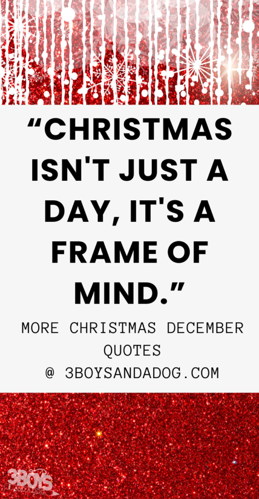 Christmas December Quotes - 3 Boys and a Dog