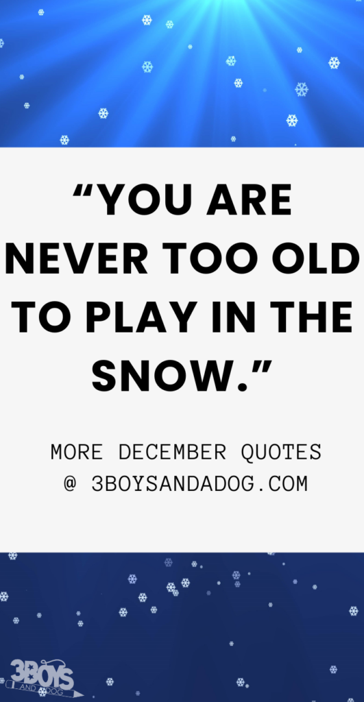 Happy December Quotes and Sayings - 3 Boys and a Dog