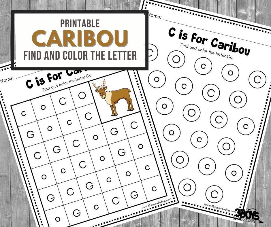Find the Letter C is for Caribou Worksheets - 3 Boys and a Dog