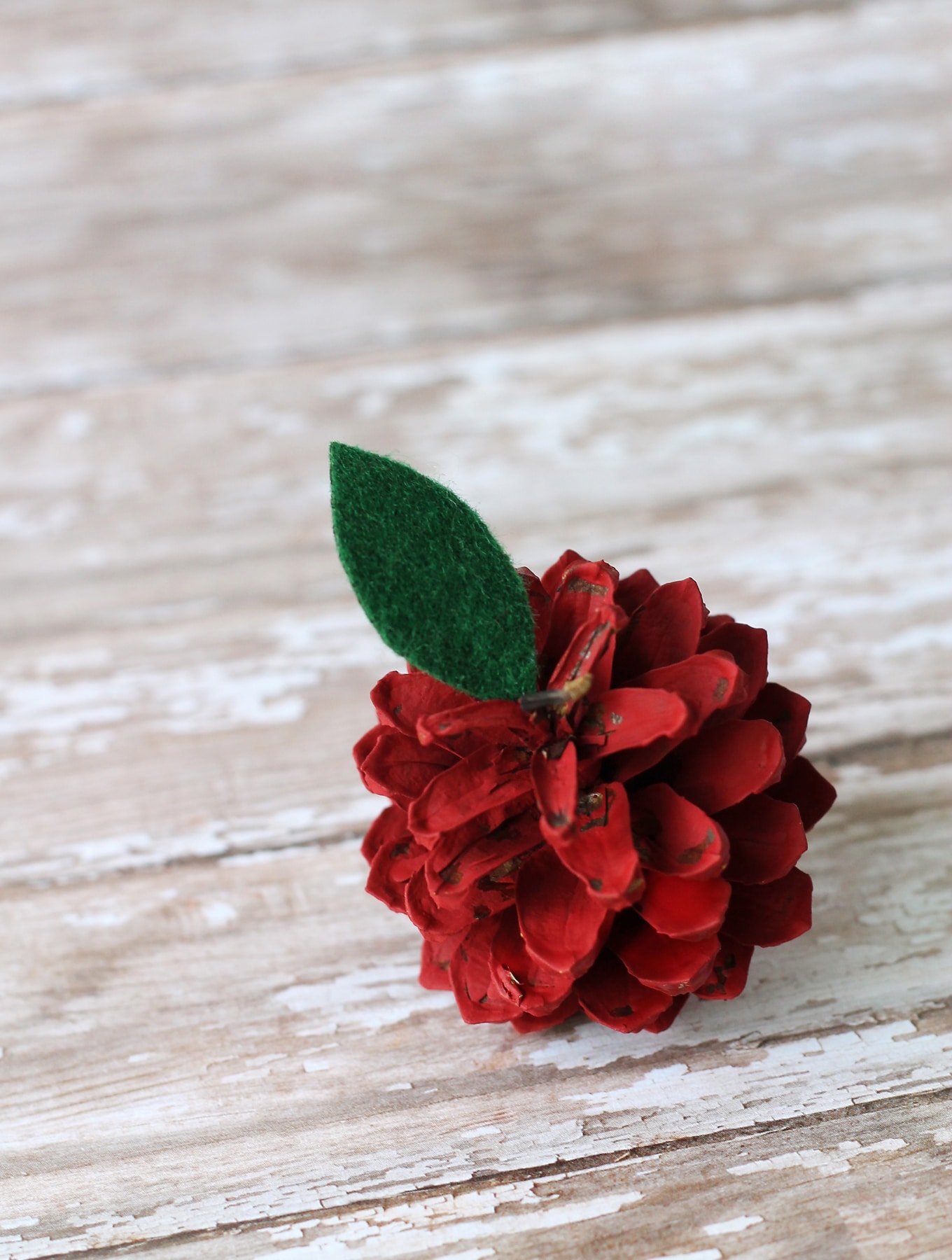 Arkansas Crafts for Kids (Fun State Study Ideas)