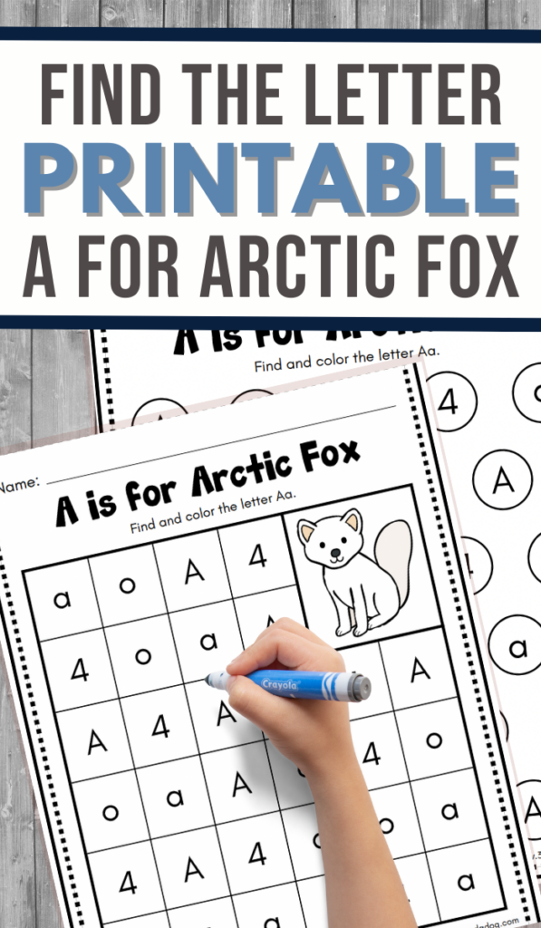 Arctic Fox Letter A Printables for Kids