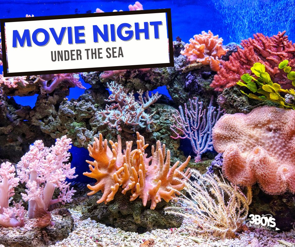 Under the Sea Movie Night Ideas for Families