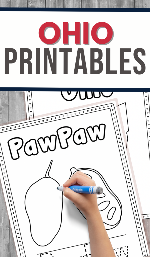 Ohio Coloring and Handwriting Book - 3 Boys and a Dog