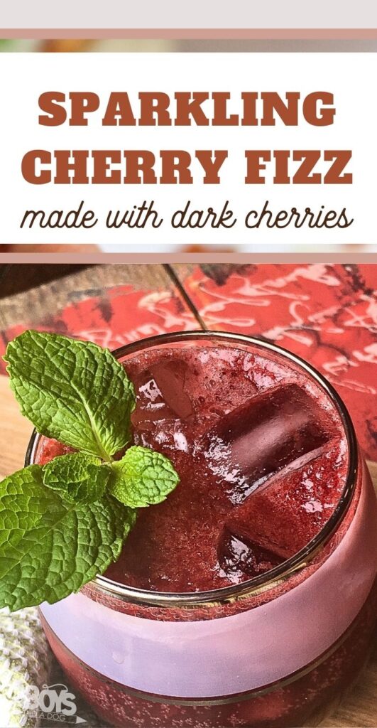 Quick & Easy Family-Friendly Dark Cherry Fizz Mocktail