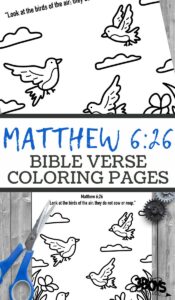 Matthew 6:26 Coloring Pages - 3 Boys and a Dog