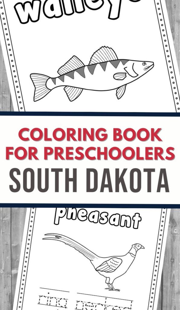 South Dakota Coloring and Handwriting Book - 3 Boys and a Dog