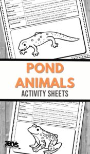 Pond Animal Fact Files - 3 Boys and a Dog