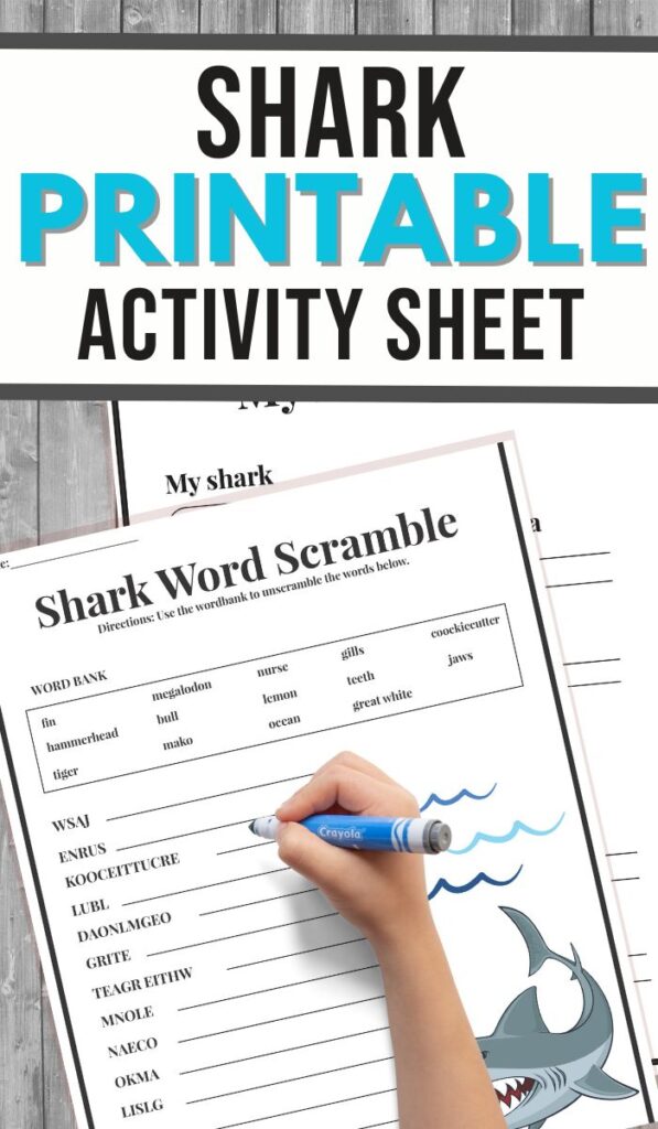 Shark Activity Printable Pack for Homeschool Learning