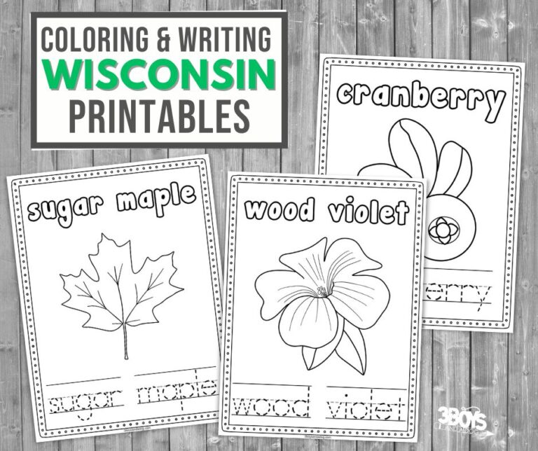 Wisconsin Coloring and Handwriting Book - 3 Boys and a Dog