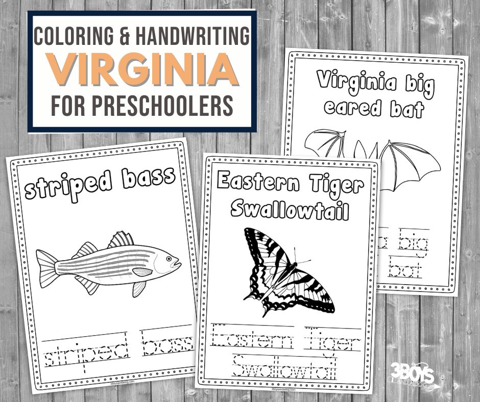 Virginia Coloring and Handwriting Book - 3 Boys and a Dog