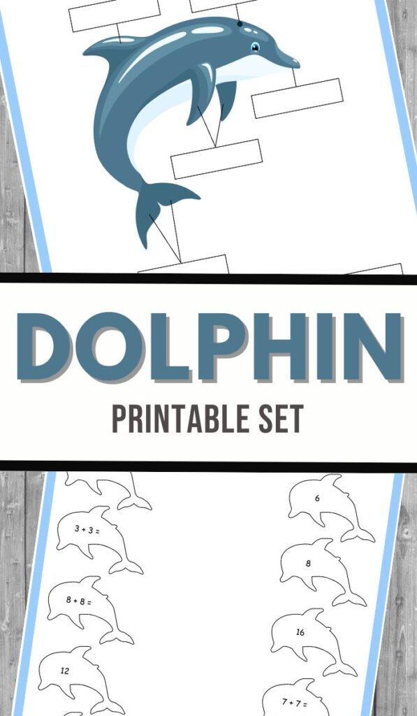Dolphin Printable Activity Pack - 3 Boys and a Dog