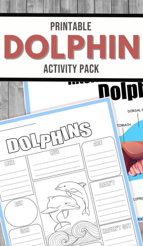 Dolphin Printable Activity Pack - 3 Boys and a Dog