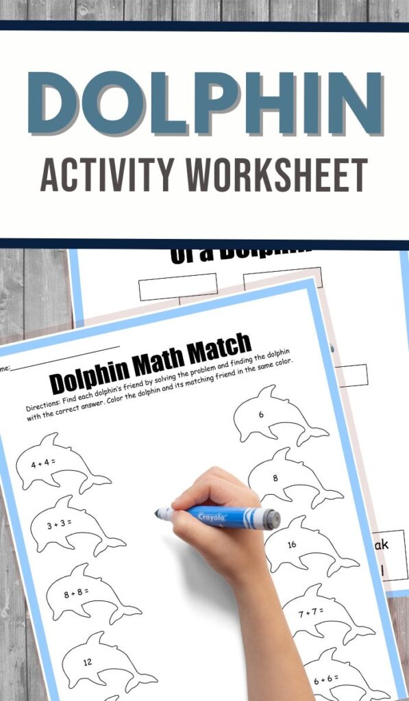 Dolphin Printable Activity Pack - 3 Boys and a Dog