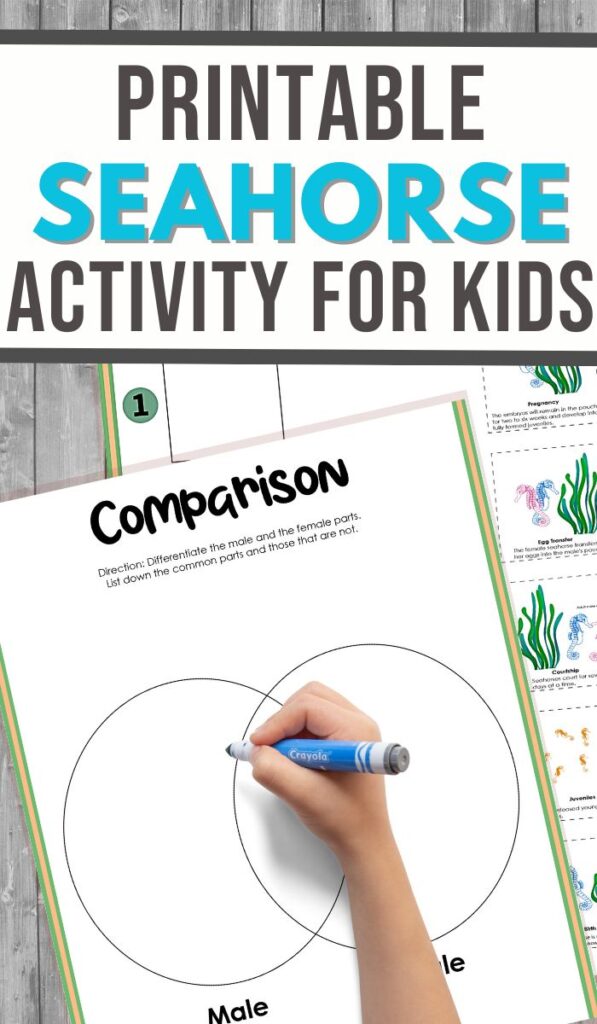 Sea Horse Activity Pack for Kids - 3 Boys and a Dog