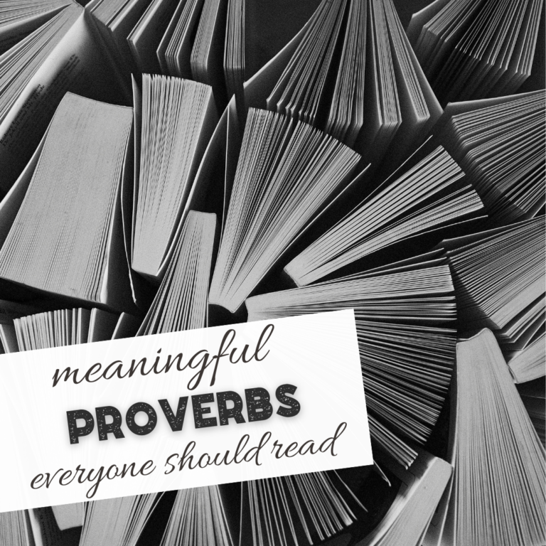 Discovering the Wisdom of Meaningful Proverbs in English