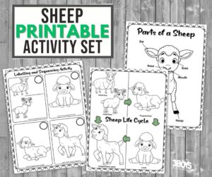 Sheep Activity Printable Set - 3 Boys and a Dog